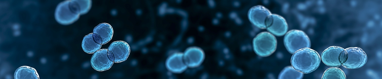 Microbial Strains for Assay Development