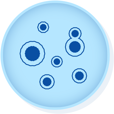 Microbiologics : 01053L Mycoplasma bovis derived from ATCC® 25025™* LYFO DISK