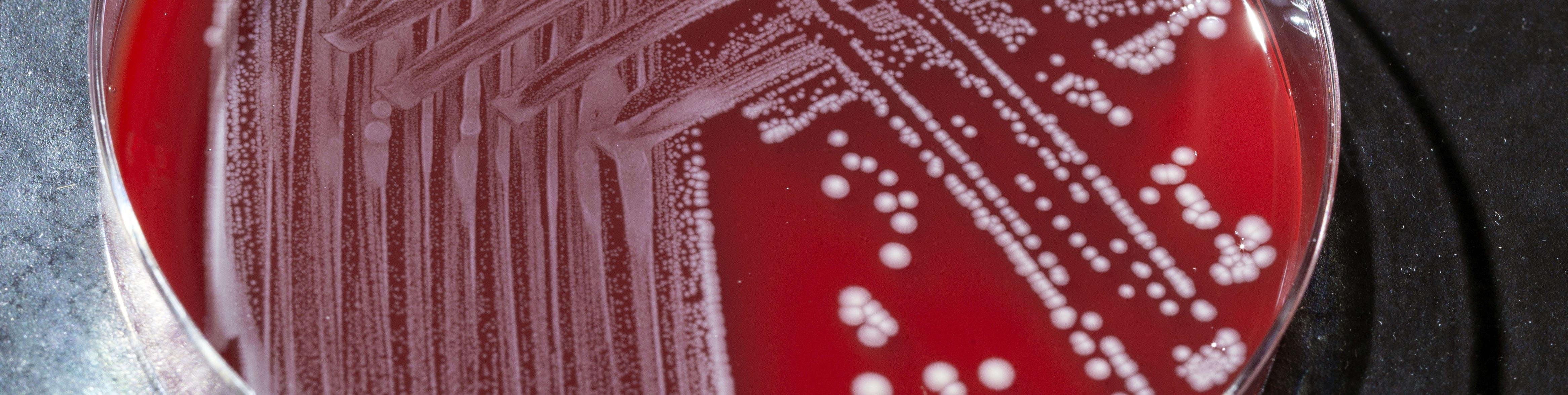 Check out our most popular technical publications